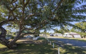 Caboolture Showgrounds Camping - Caboolture Showgrounds